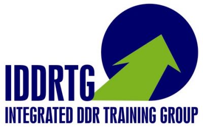 DDR Training - UN DDR