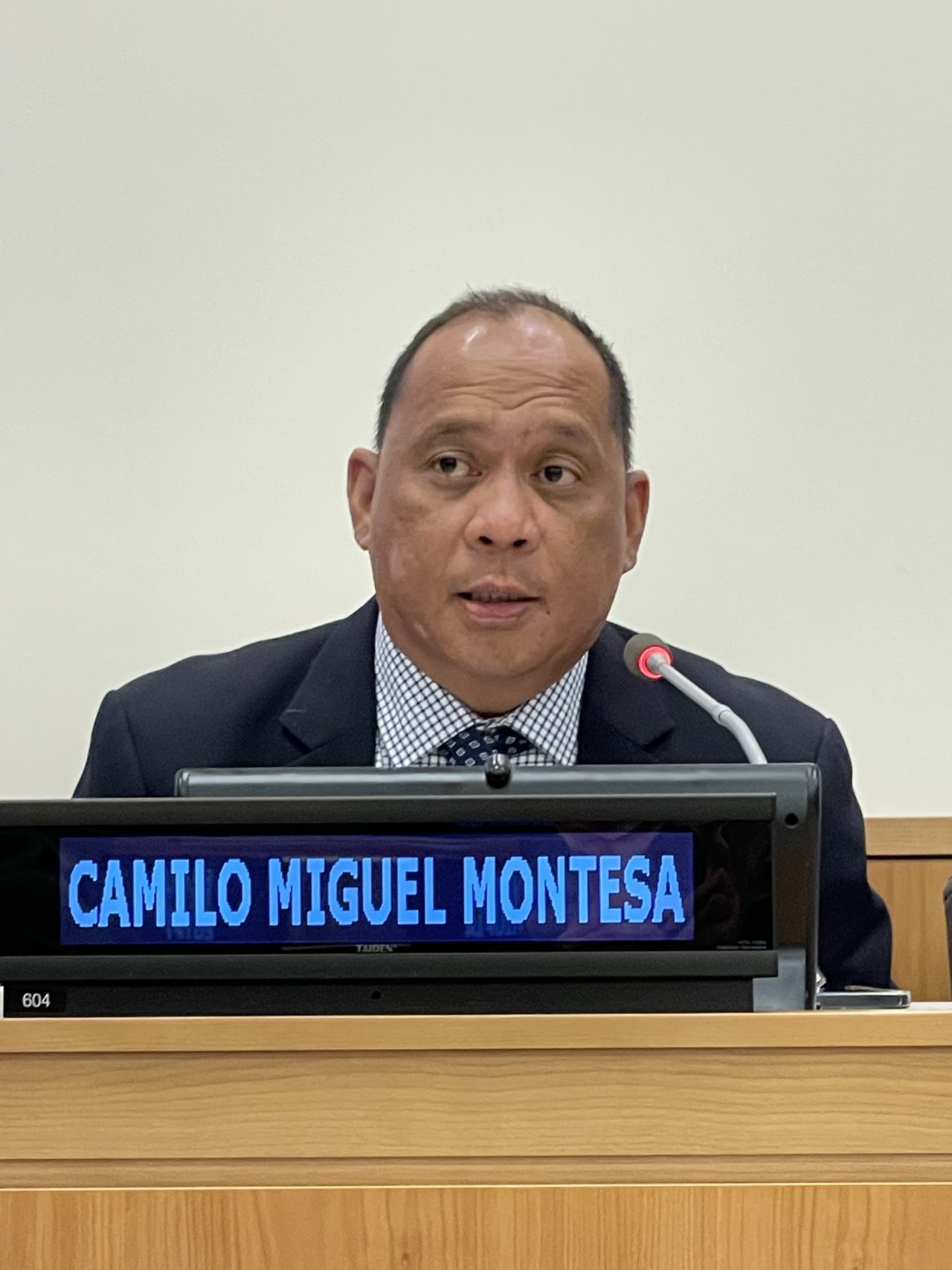 The DDR Bulletin - ISSUE 2 / 2022 - UN DDR