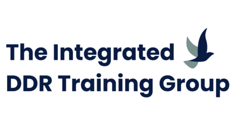 The DDR Bulletin - January 2024 - UN DDR