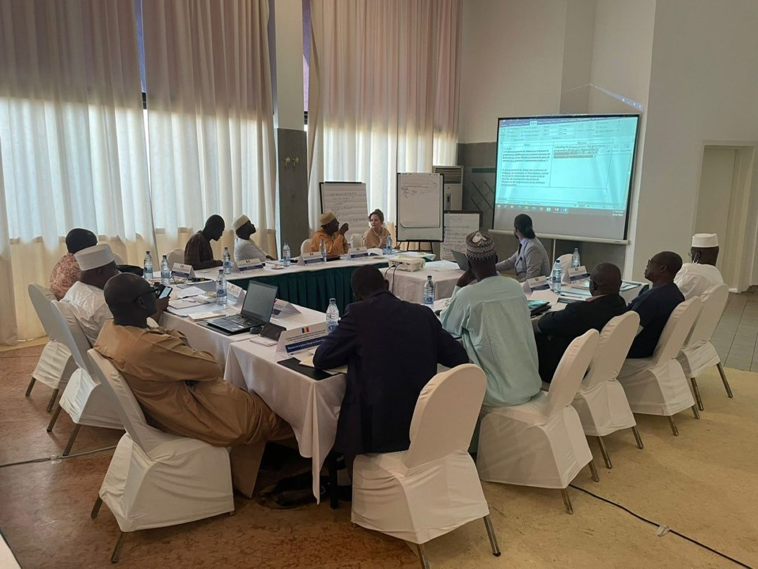 The DDR Bulletin - May 2024 - UN DDR