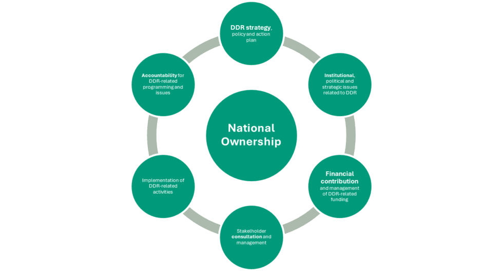 The DDR Bulletin - ISSUE 3 / 2024 - UN DDR