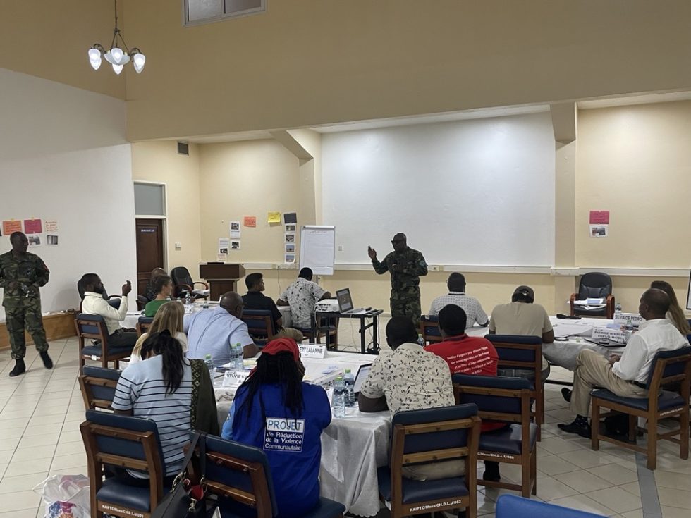 The DDR Bulletin - ISSUE 1 /2025 - UN DDR