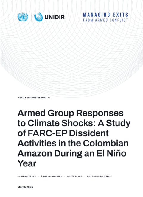 The DDR Bulletin - ISSUE 1 /2025 - UN DDR