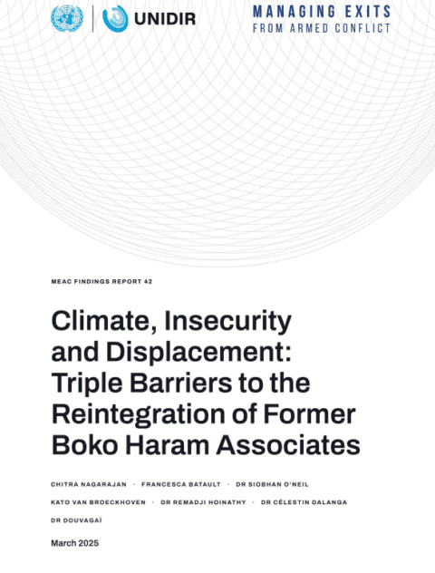 The DDR Bulletin - ISSUE 1 /2025 - UN DDR